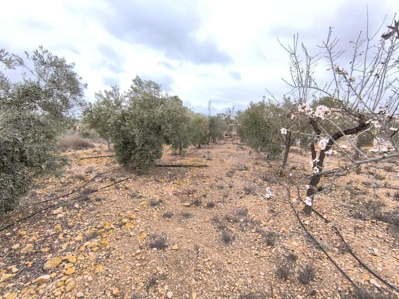 House for sale in La Romana, Ref: KGF-AG19MLSC4737852 - SpainHouses.net