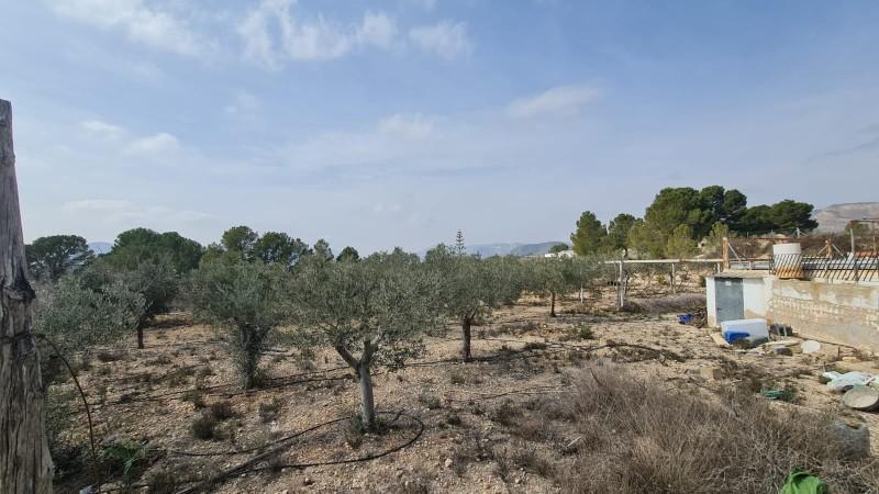 House for sale in La Romana, Ref: KGF-AG19MLSC4737852 - SpainHouses.net