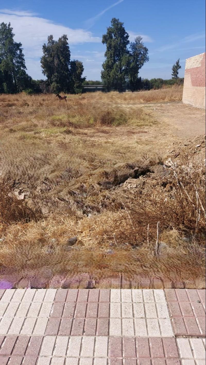 Parcela en venta en Almonte, Ref: NZB-953 - SpainHouses.net