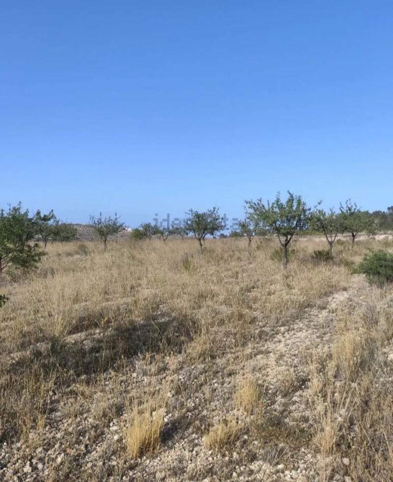 Parcela en venta en La Romana, Ref: SJI-29561 - SpainHouses.net